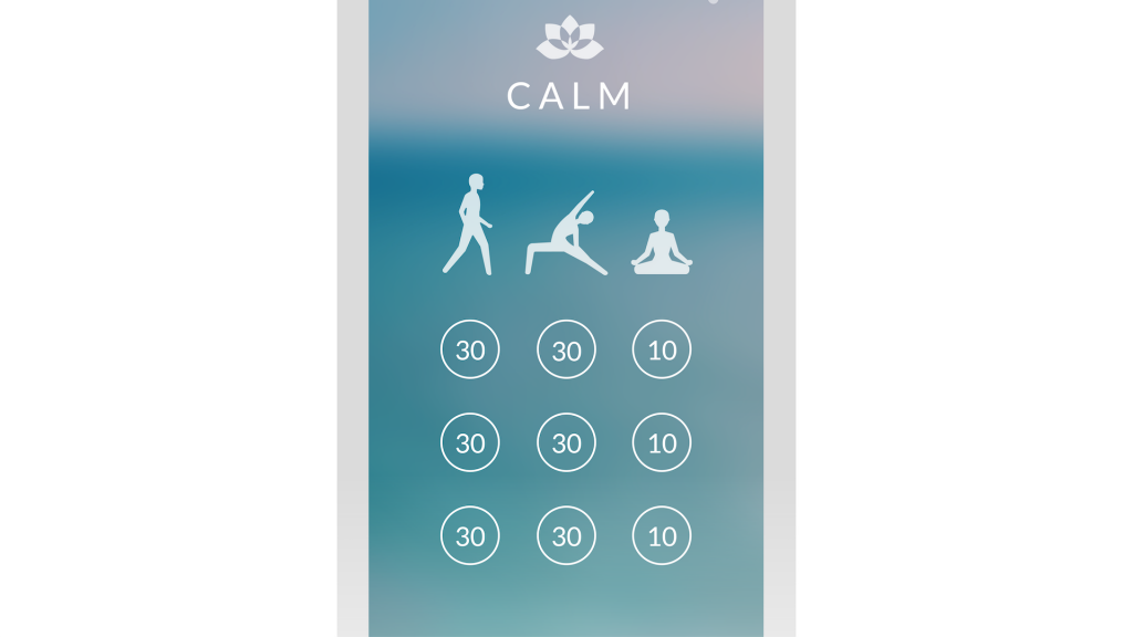 Yotta Workout 6-Phase System – Yotta Workout®