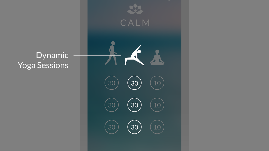 Yotta Workout 6-Phase System – Yotta Workout®